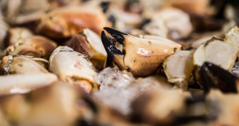 Skaldyr og specialiteter - Erling Grønkjær